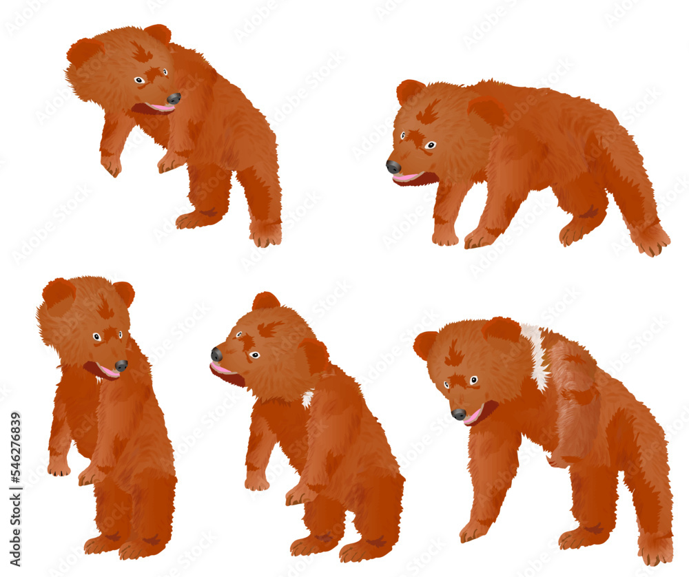 Little bears' characteristic poses for different situations in their ...