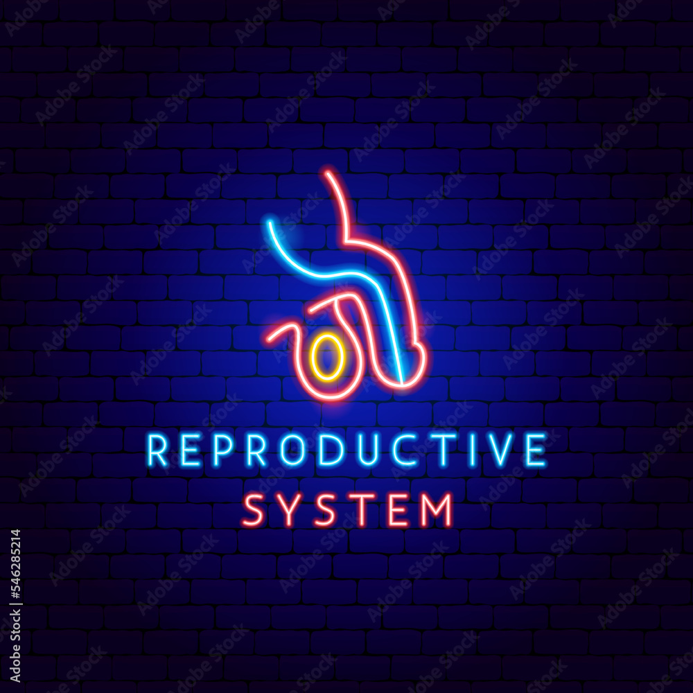 Man Reproductive System Neon Label. Vector Illustration of Medical ...
