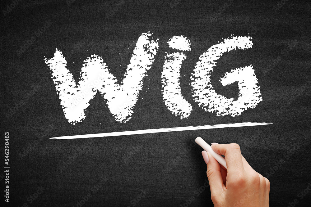 WIG Wildly Important Goals - highly important goals that must be ...