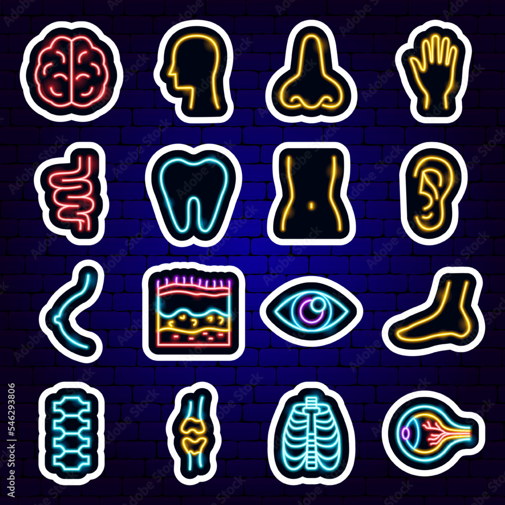 Body Organs Neon Stickers. Vector Illustration of Medical Science ...