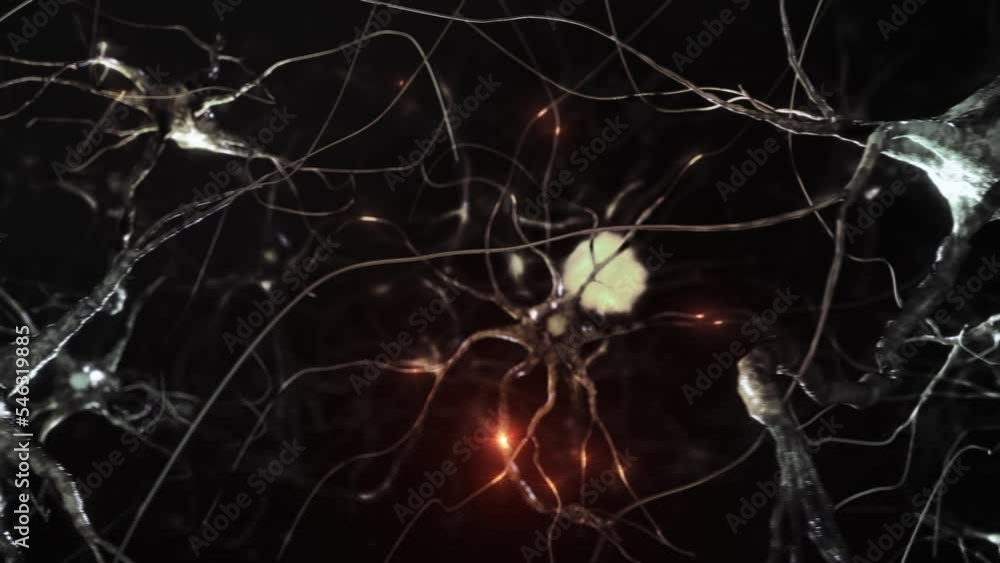 3D Animation of Nerve Cells and Neural Connections. Neurons Activity in ...