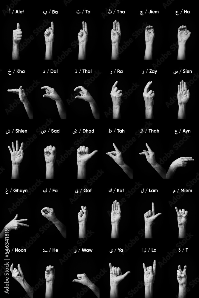 Hands demonstrating Arabic sign language fingerspelling full alphabet ...