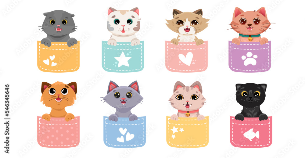 Set of cute cats in colorful pockets. Collection of pets sitting inside ...