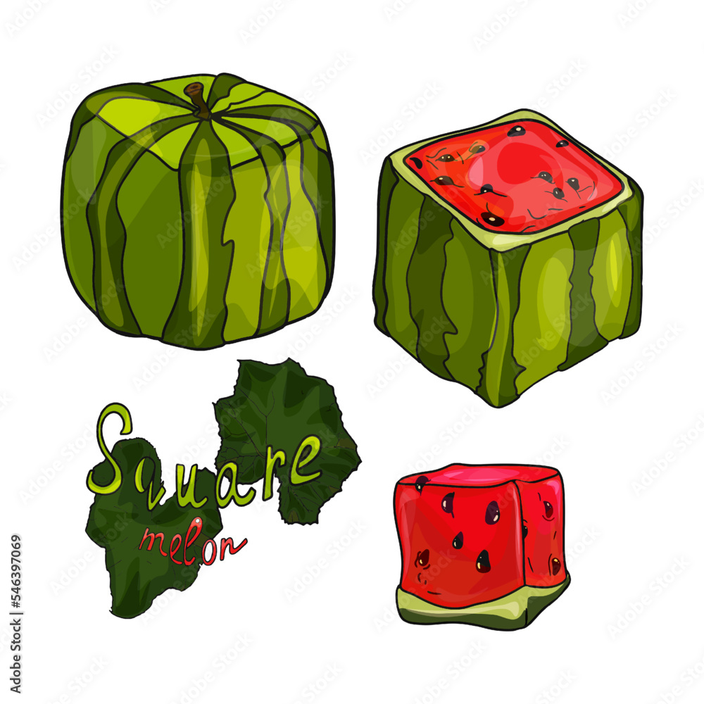 Vector linear doodle cubic or square watermelon and cut slices ...