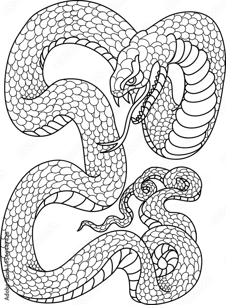 Hand drawn snake vector for coloring book and tattoo design isolate on ...