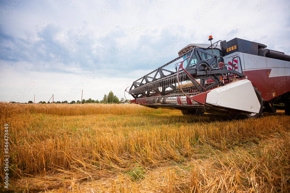 Harvester machine to harvest wheat field working. Combine harvester ...