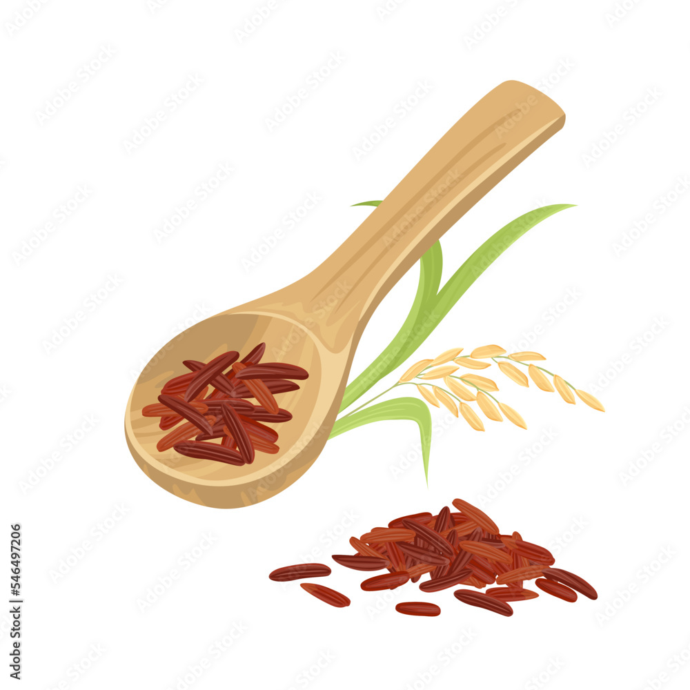 Red rice in wooden spoon and ear isolated on white background. Vector ...
