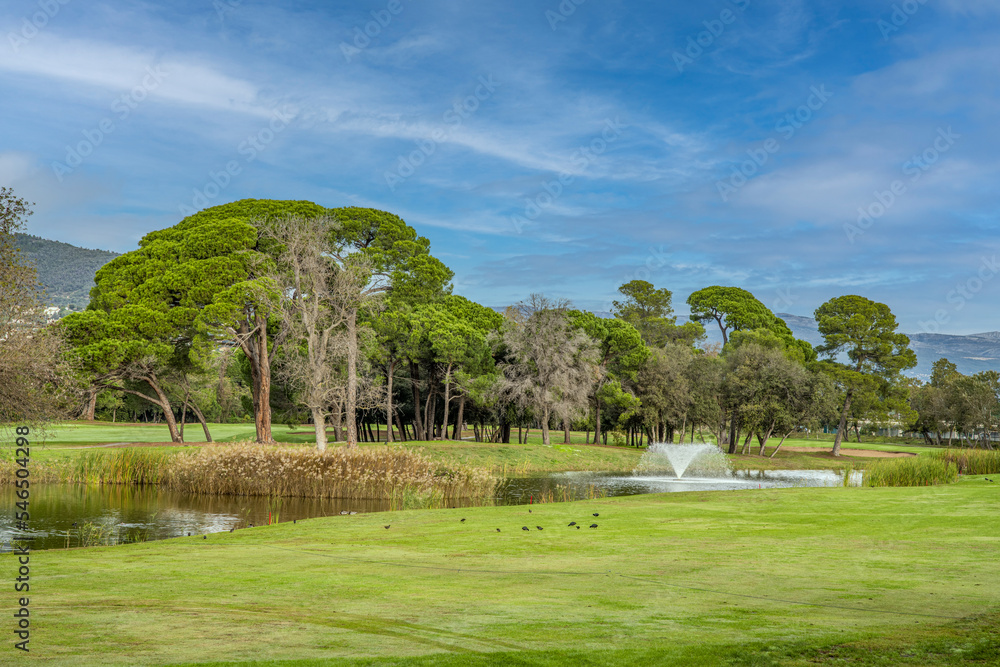 Paysage d'un terrain de golf avec sa pelouse et gazon de grands arbres ...
