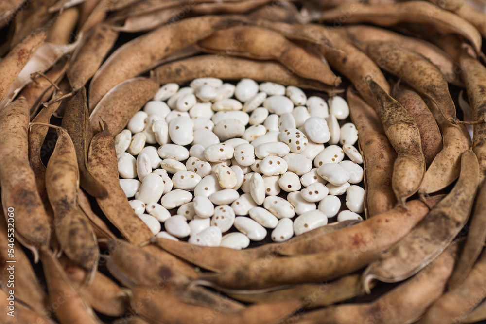 Holes in bean beans are drilled by weevil larvae. Dry beans infested ...