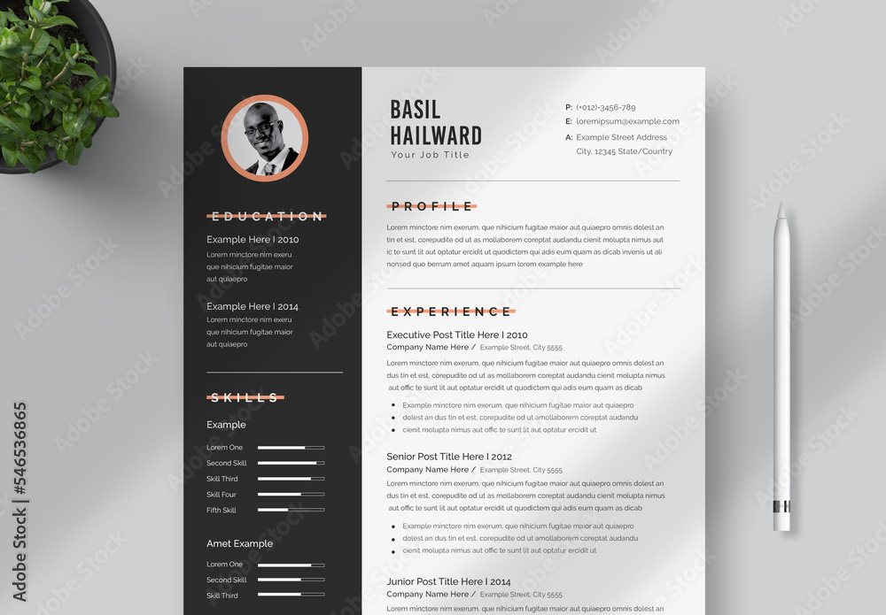 Professional Resume Layout Stock Template | Adobe Stock