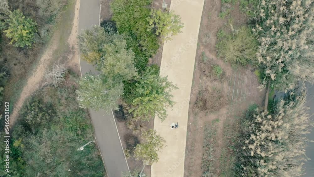 Bride and groom walking on the path in the beautiful park. Top view ...