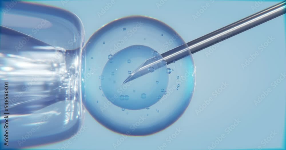Laboratory procedure with an egg cell, and needle injection. In Vitro ...