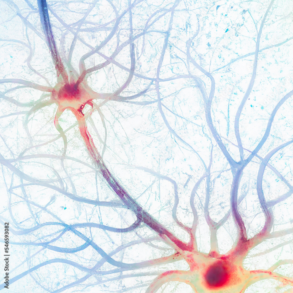 Synaptic transmission is the process by which one neuron communicates ...