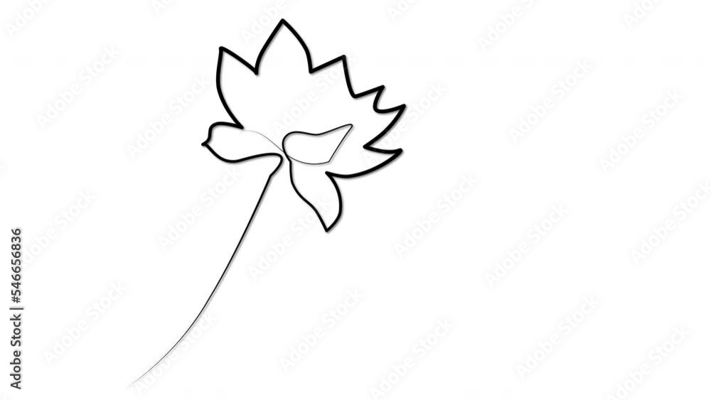 Lotus flower calligraphy outline self drawing animation. Luma matte ...