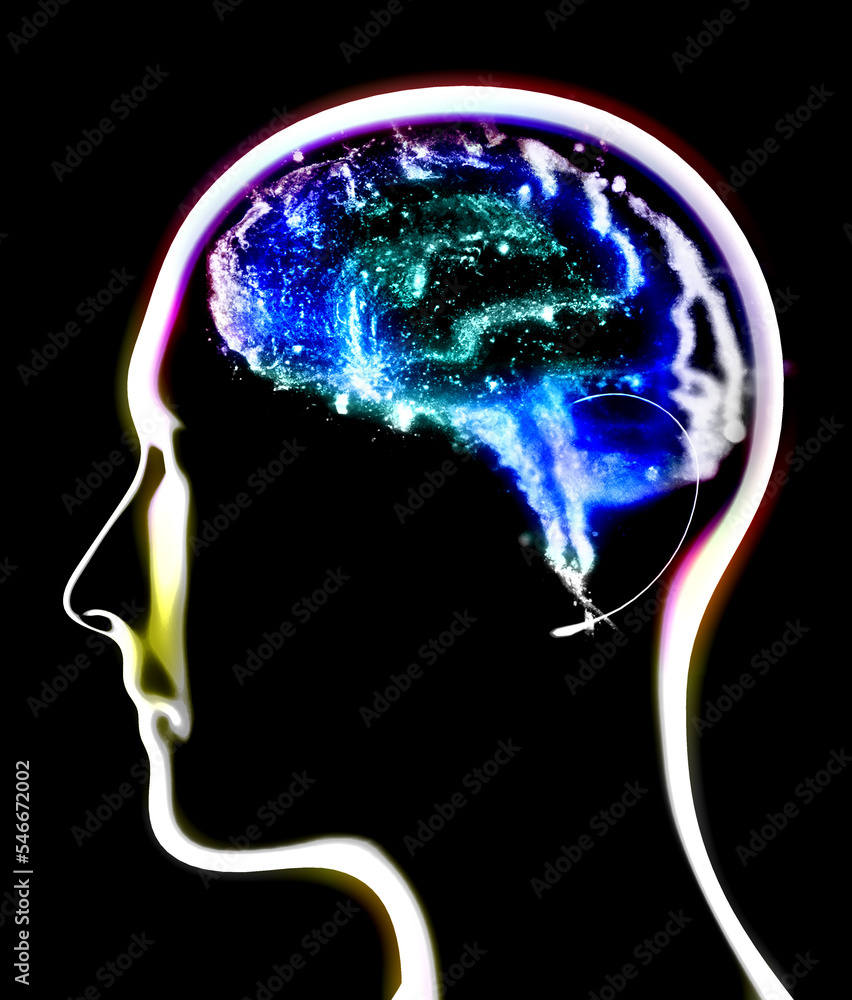 Section of a brain seen in profile, parts of the brain. Degenerative ...