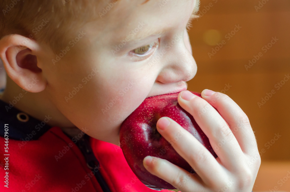 A 5 year old boy is biting a big red apple. Boy eating an apple, close ...
