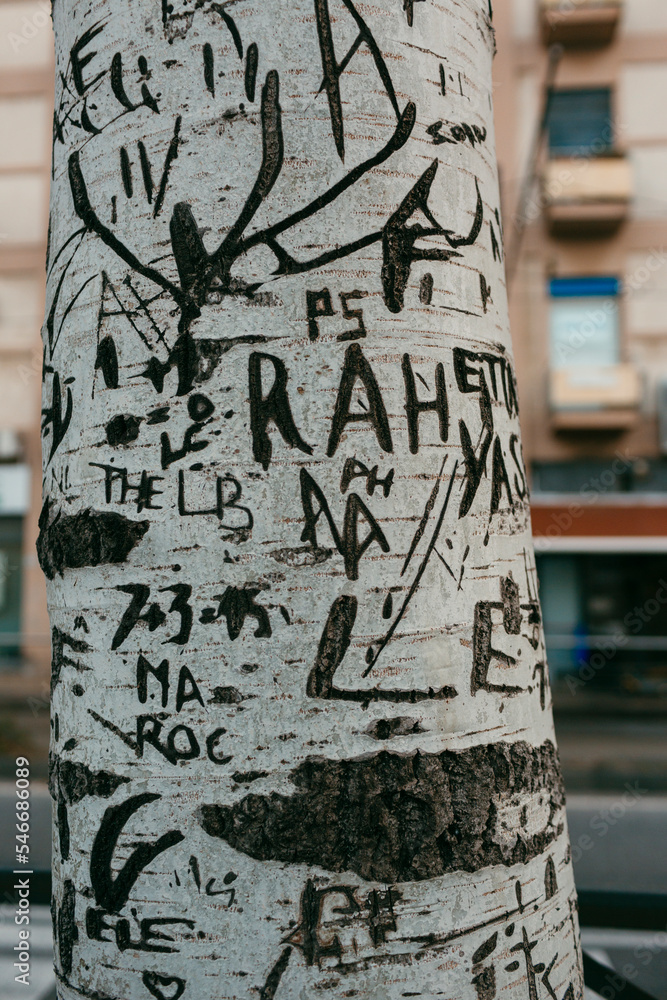 Tree with graffiti on the bark Stock Photo | Adobe Stock
