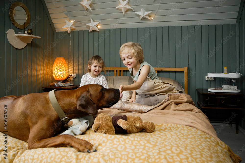 Two little kids and dog in a bedroom Stock Photo | Adobe Stock