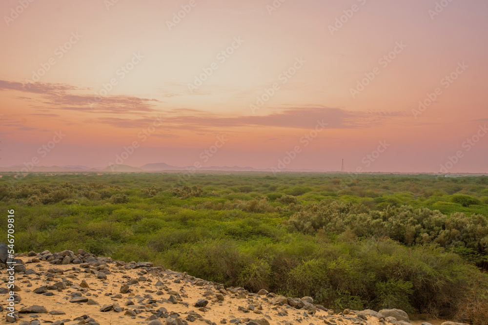 landscapes of saudi arabia Stock Photo | Adobe Stock
