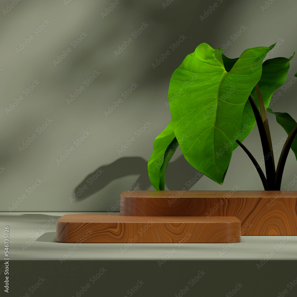 Blank mockup wooden block texture podium in square green house plant ...