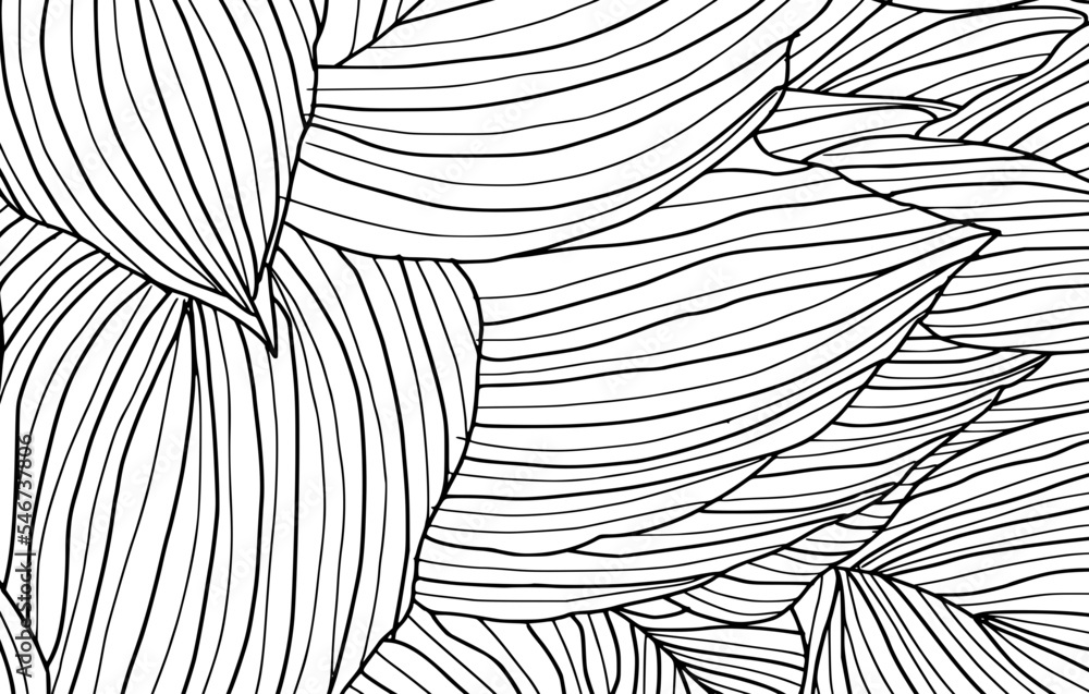 Luxury gold line art and Variegated Plants nature drawing background ...