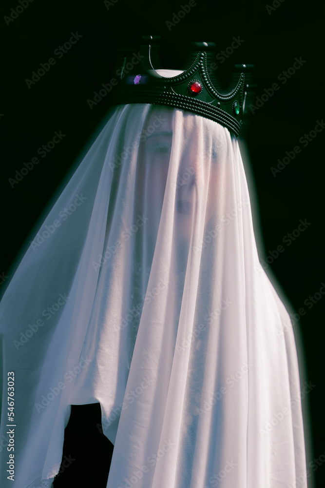 Evil Queen in a black dress. Beautiful girl in the crown Stock Photo ...