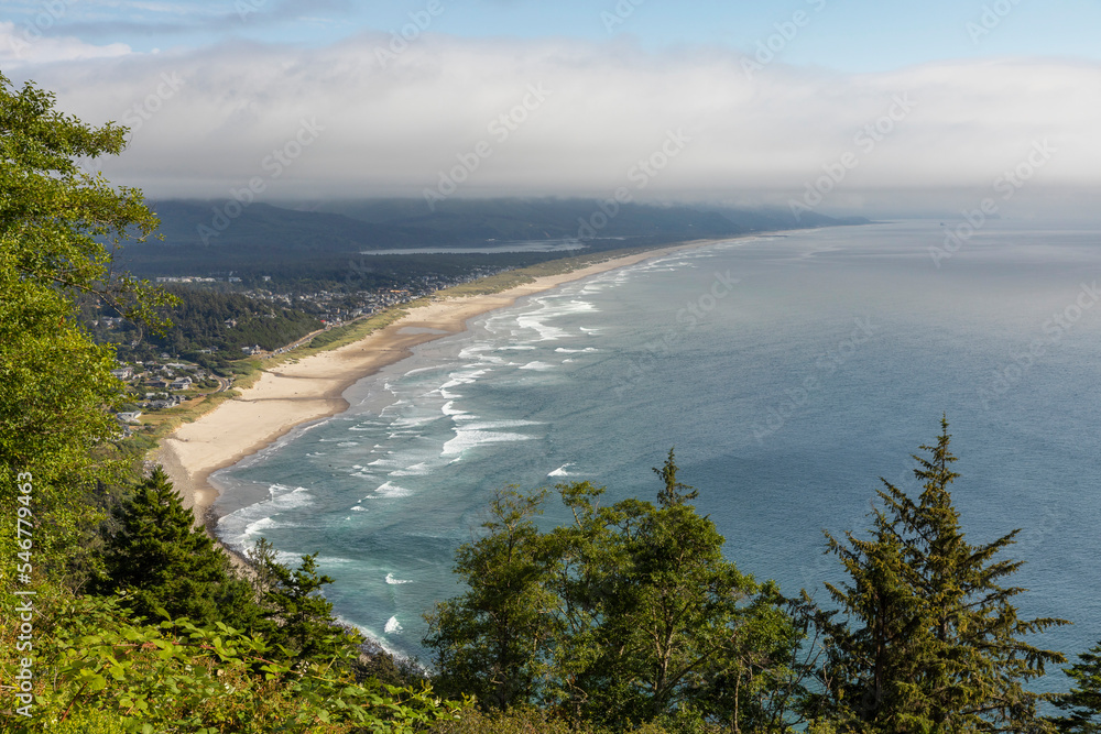 View Oregon Coast Nature beach landscape pine trees Stock Photo | Adobe ...