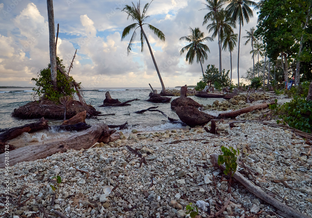 Sea level rise, sea wall made from dead coral, Wagina, Solomon Islands ...