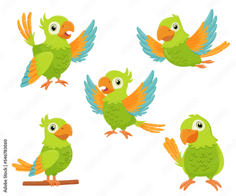Green Parrot Bird Standing On Branch And Flying Flat Cartoon Character Set Isolated On White