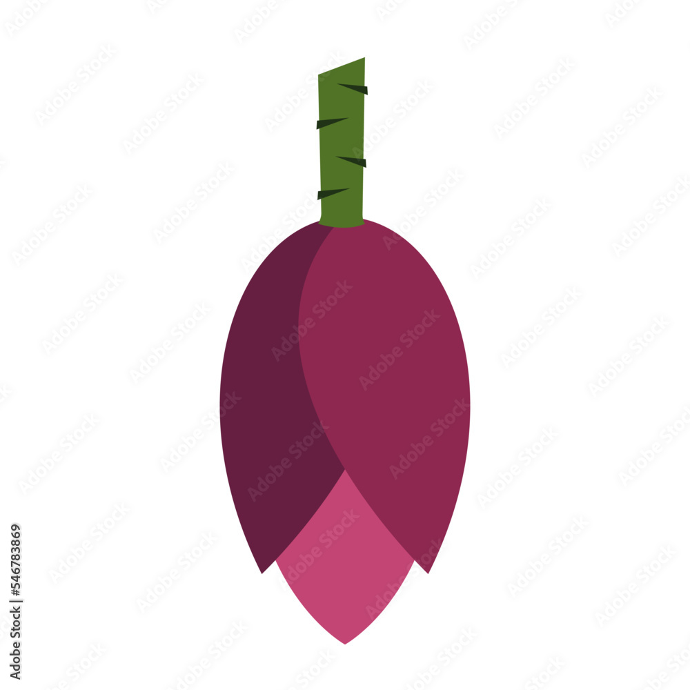 Vetor de banana flower flat vector illustration clipart isolated do ...