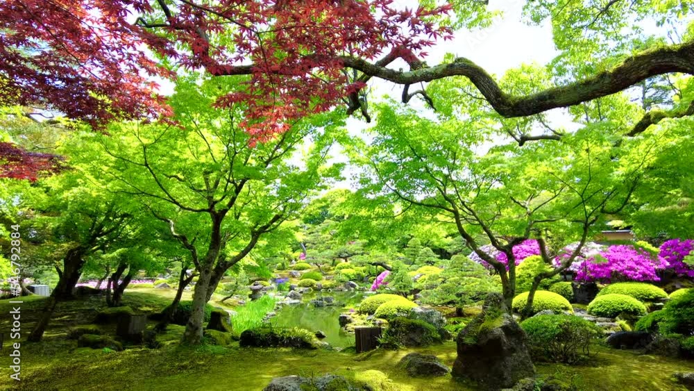 Vidéo Stock Fixed shot of traditional Japanese garden with a pond in ...