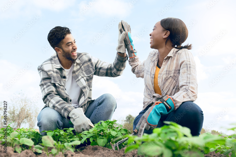 Farm, high five and man and woman celebrating farming success during ...