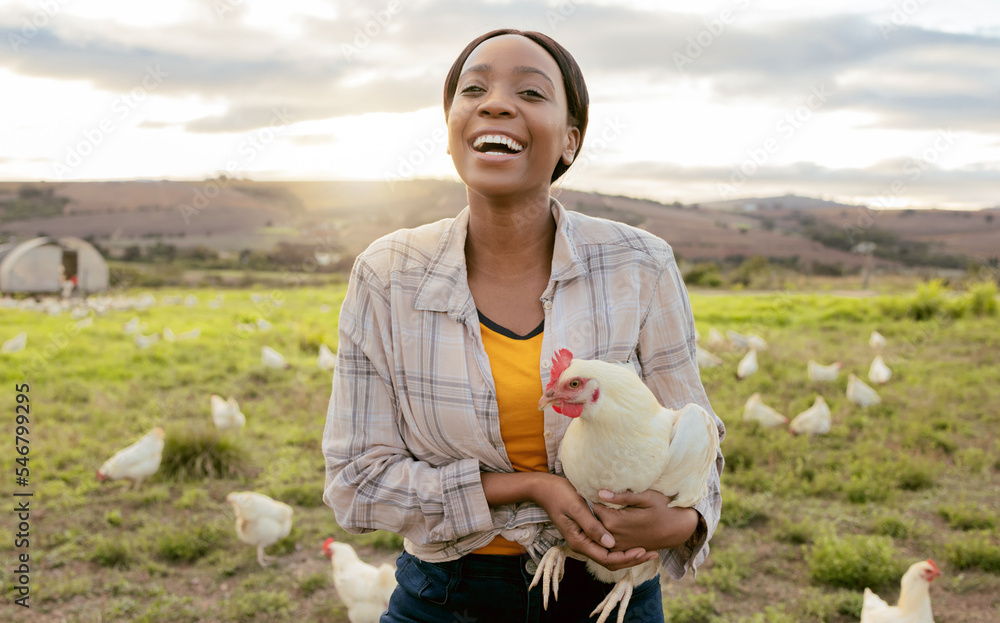 Farmer, chicken and black woman, happy and working on agriculture ... Farmer, chicken and black woman, happy and working on agriculture ...