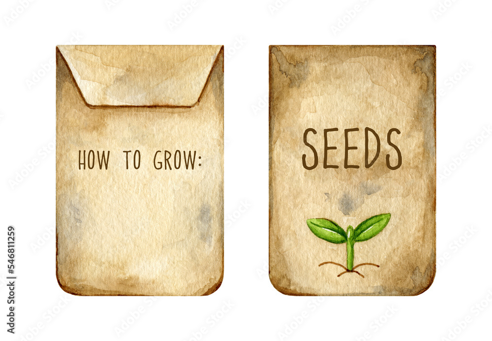 Vintage seed paper package. Watercolor illustration. Hand drawn seed ...