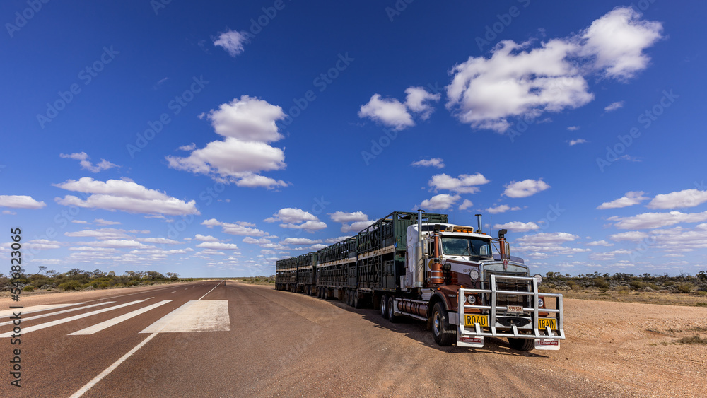 Transport of farm animals by road train across the Australian continent ...