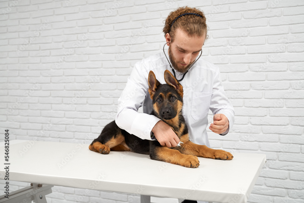 Portrait of ill patient and devoted doctor. Fair haired vet with ...
