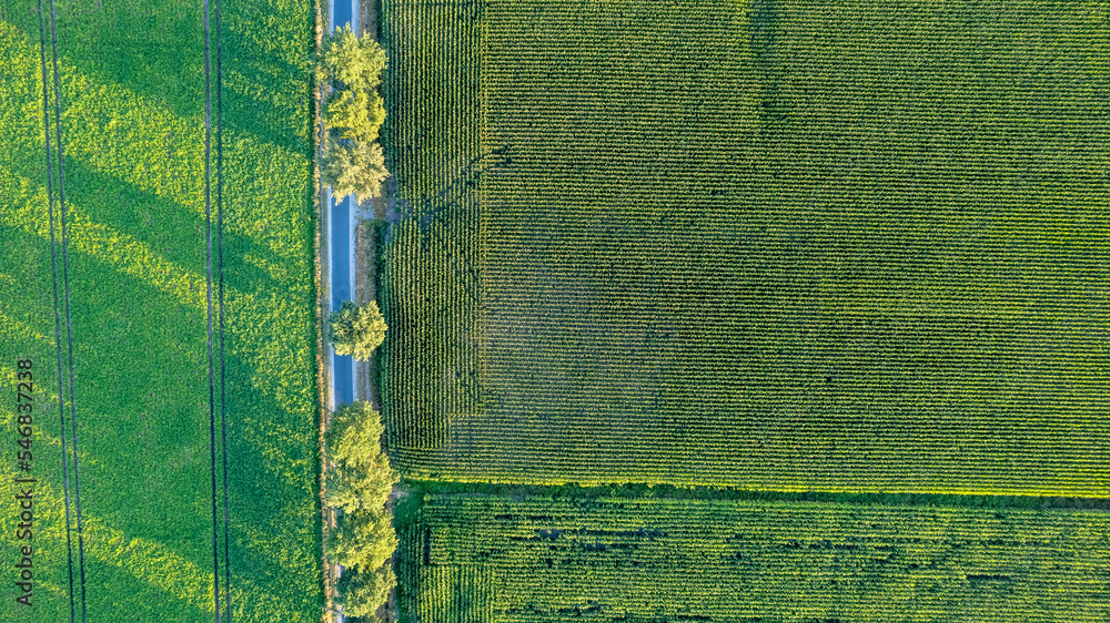 Colorful patterns in crop fields at farmland, aerial view, drone photo ...