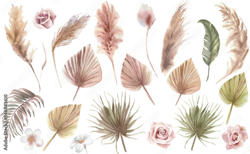 Watercolor boho floral clipart of pampas grass branches, palm leaves ...