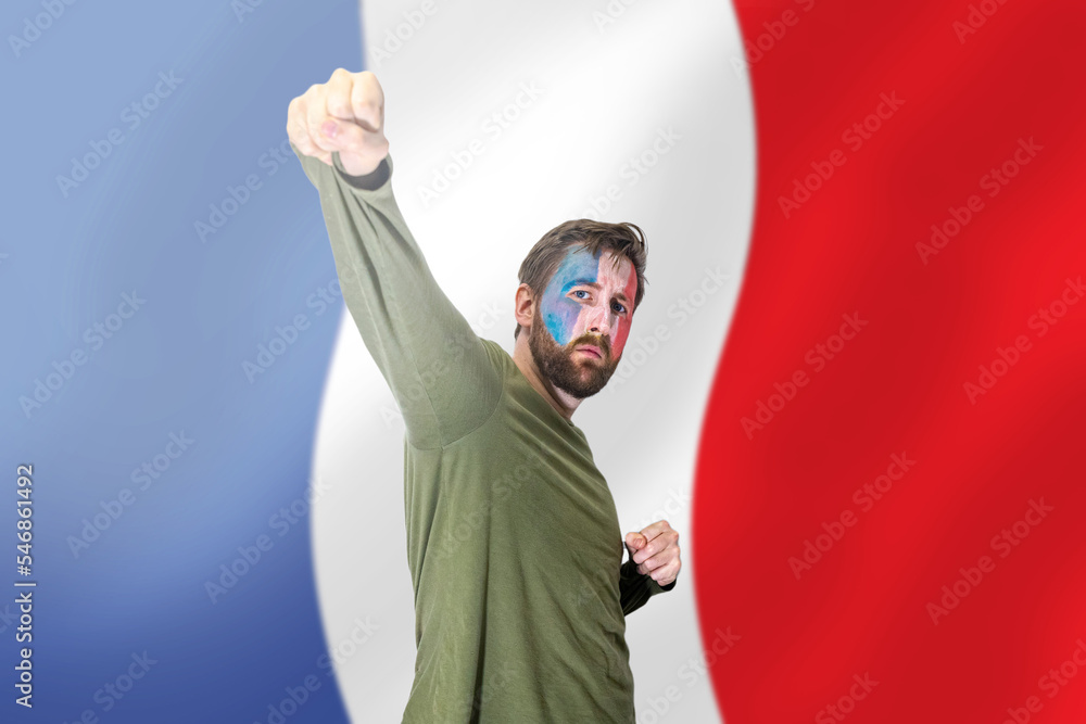 France national team football fans cheering their team at the 2022 ...