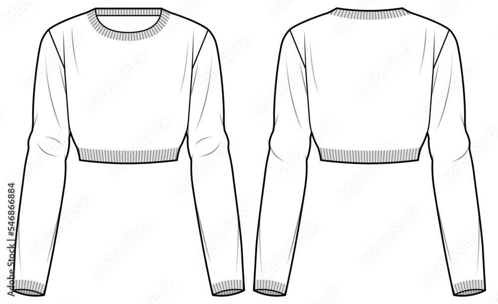 womens long sleeve crew neck crop top flat sketch vector illustration ...