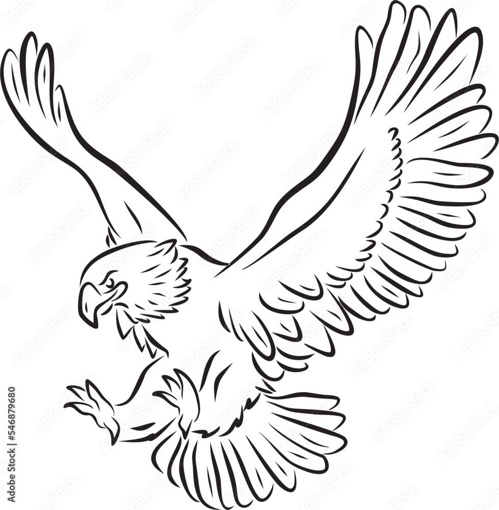 Vector black outline of an attacking eagle. Predatory big bird hunts ...
