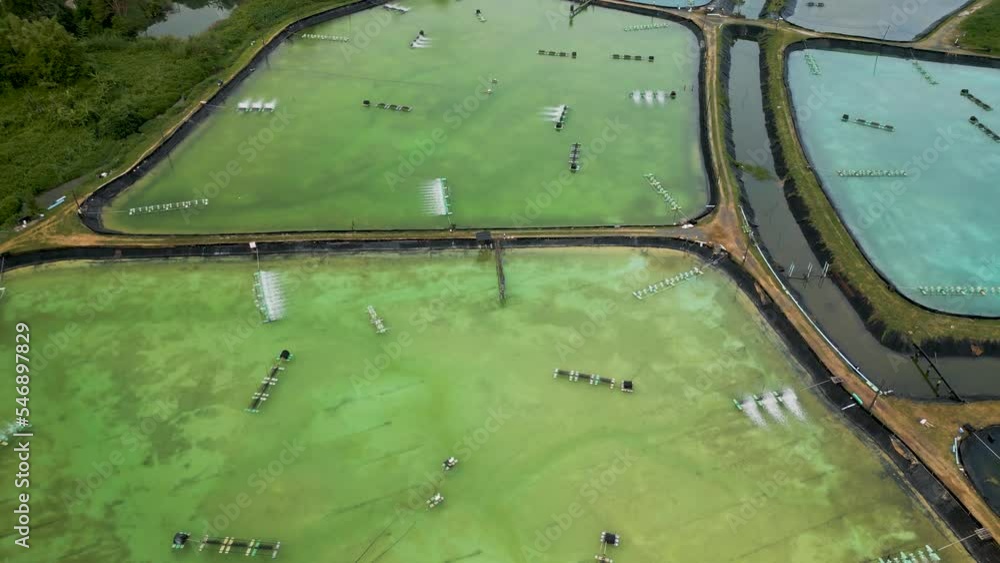 Shrimp farm in Asia. Aerial videography. Thailand-Koh Chang island ...