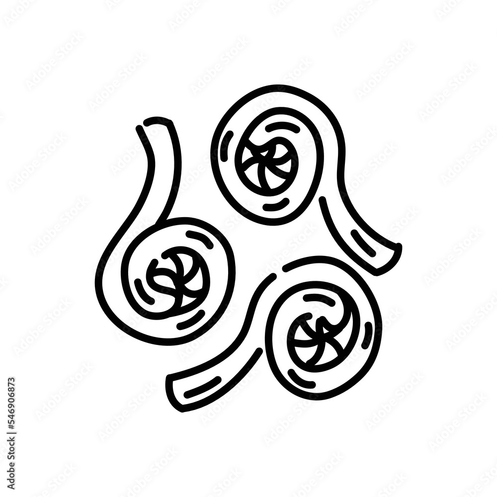 Fiddleheads doodle icon. Hand drawn black sketch. Vector Illustration ...