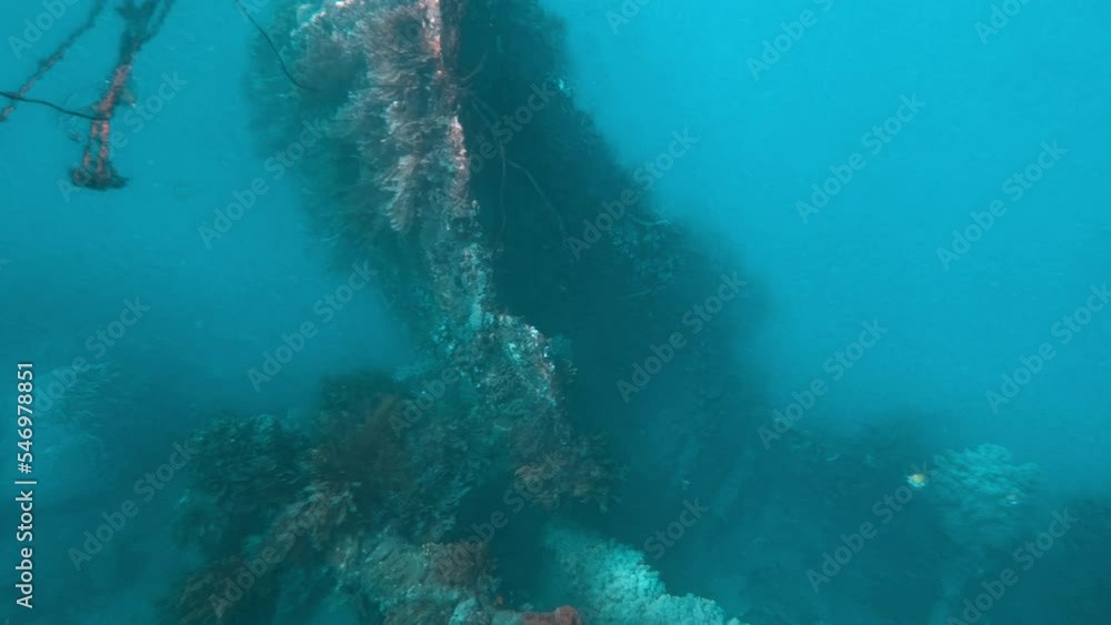 Underwater footage of destroyed sunken old ship covered with seaweed ...