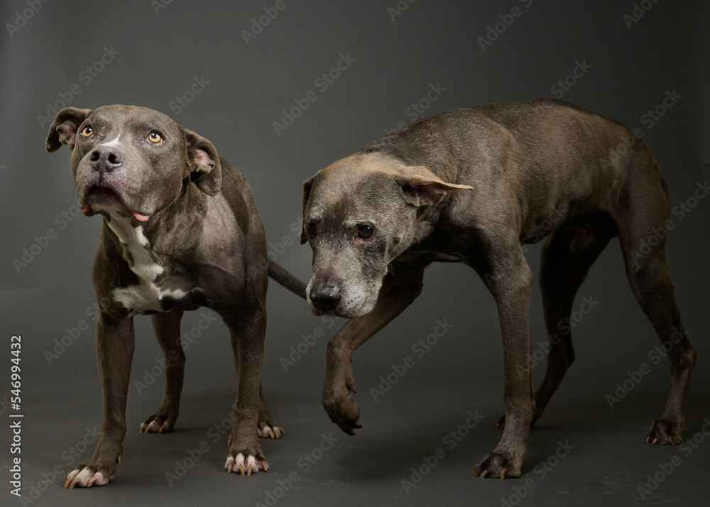 THE WOODLANDS, TEXAS - NOVEMBER 2022: a mini session at an indoor ...