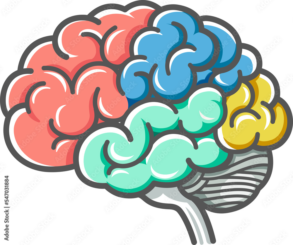 Human brain diagram doodles icon Stock Illustration | Adobe Stock