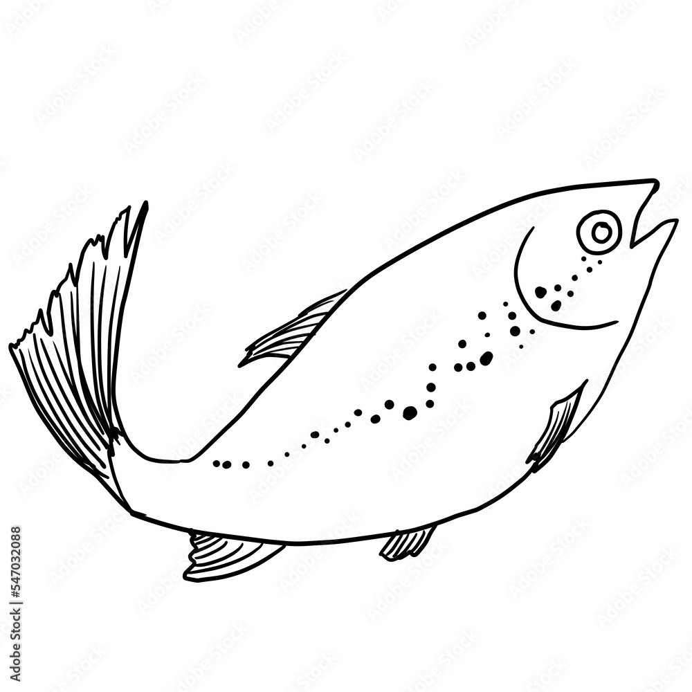 Simple and realistic line drawing of salmon Stock Illustration | Adobe ...