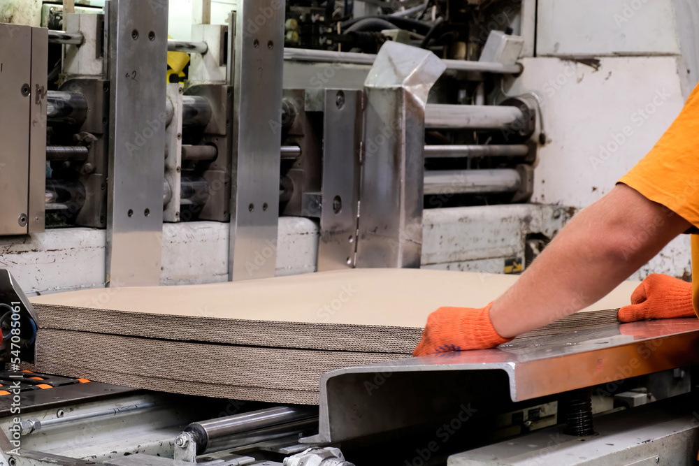 Enterprise for the production of cardboard containers . Worker put ...