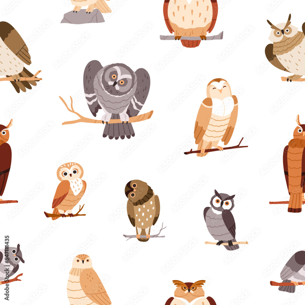 Cute owls pattern. Seamless background, funny realistic wild birds ...