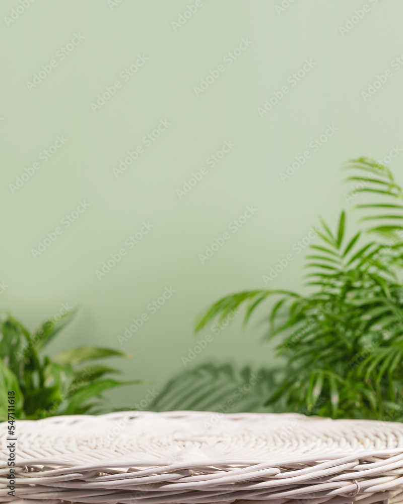 Natural product display for presentation. Empty podium on green ...